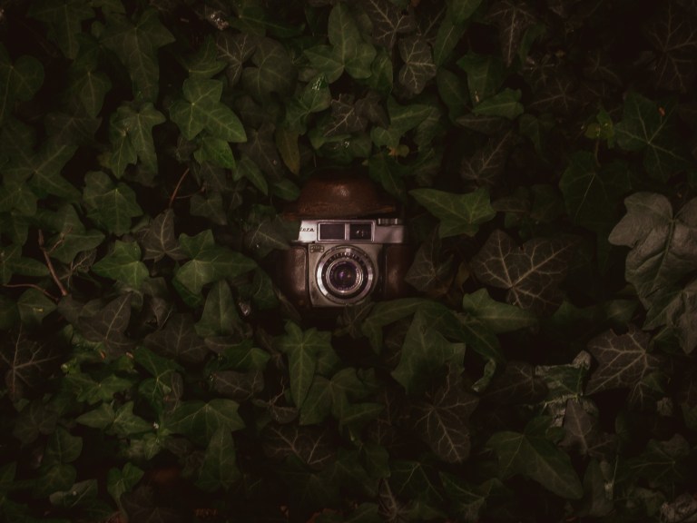 EARTH DAY – The environmental cost of PHOTOGRAPHY – 10 photography ...